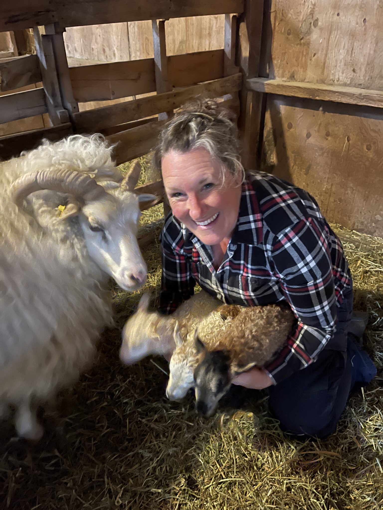 Preparing for Lambing Season! - Blooming Joy Farm